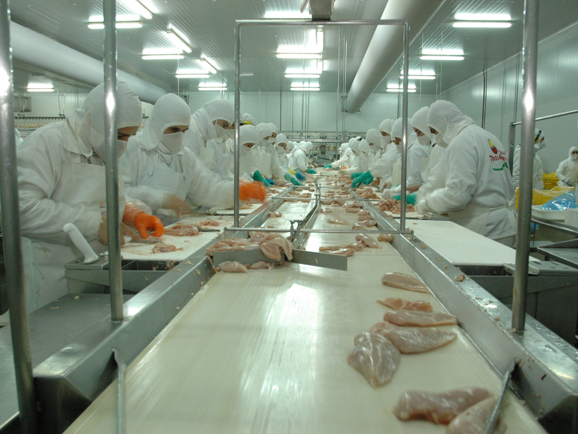 Crisis en Granja Tres Arroyos: producen más pollo, pero pagan aguinaldo ...